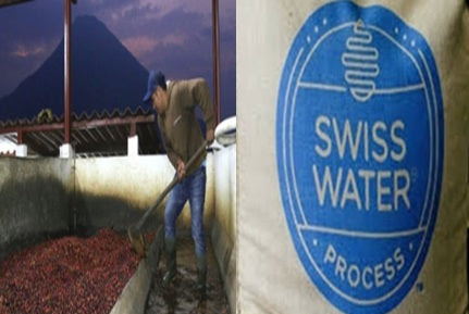 500-4kg Half Strength Full Flavour Moments to Memories – Lime Blue Coffee